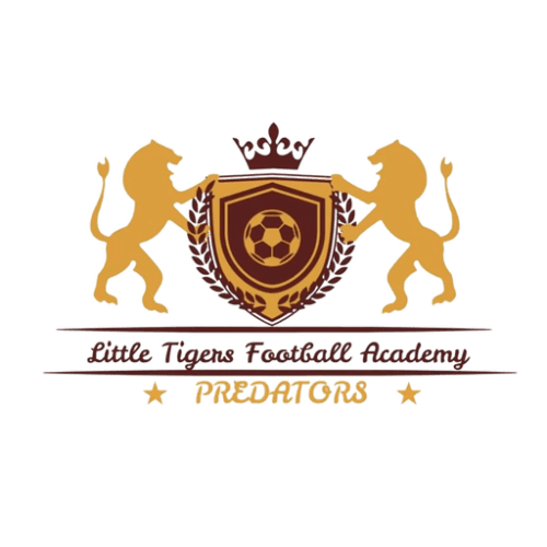 TRAINING FEES | PACKAGES – Little Tigers Football Academy